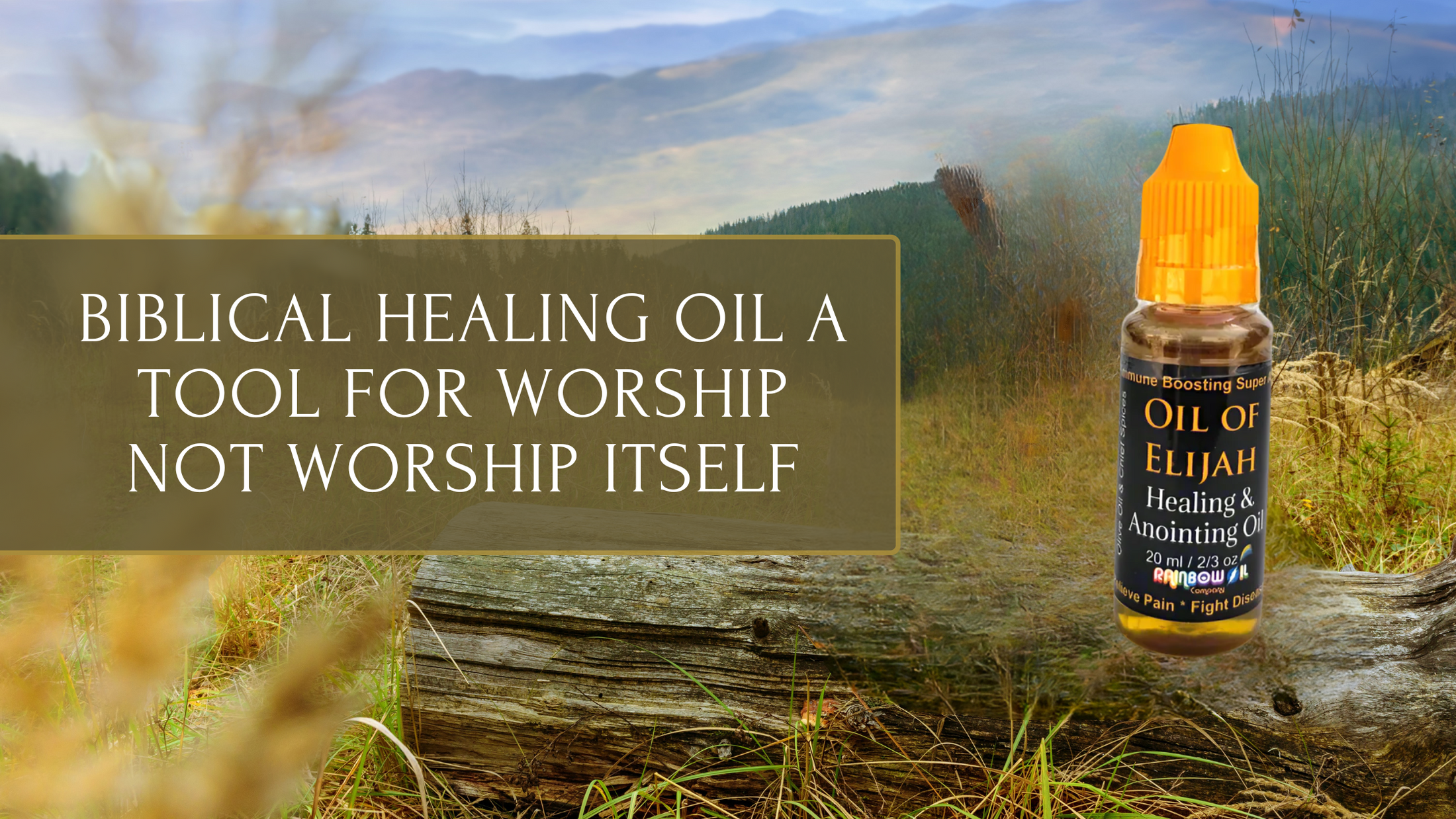 What the Bible Says About Healing Oil and Anointing Oil – Rainbow ...