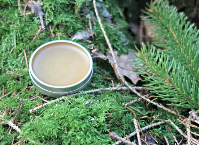 A Holiday Balm Plot? How to make Pine Rosin Balm at home. – Rainbow ...